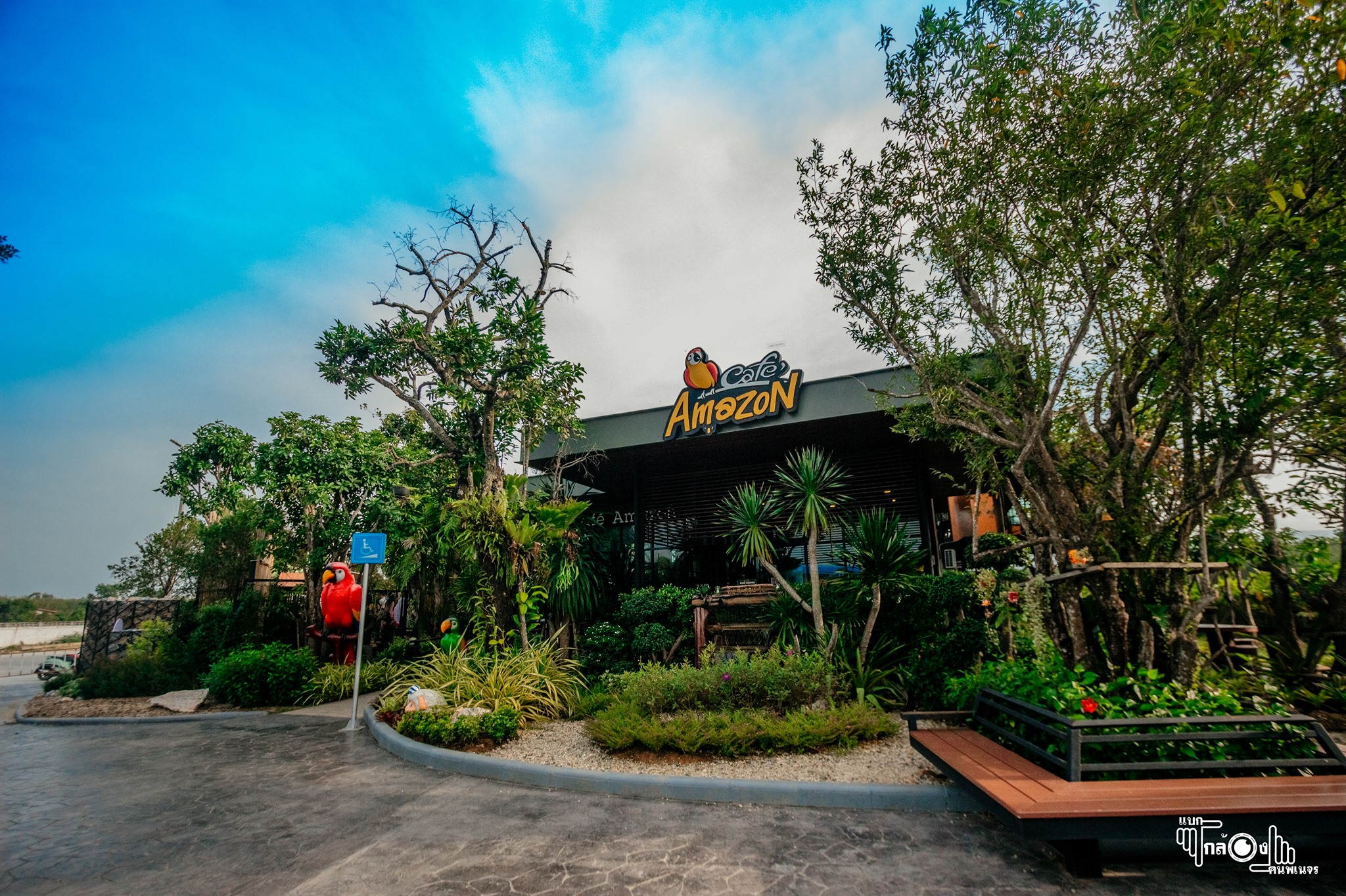 รวมร้าน Café Amazon ที่ดังในแต่ละจังหวัด (แนะนำพร้อมพิกัด) - Ikhwarn.com